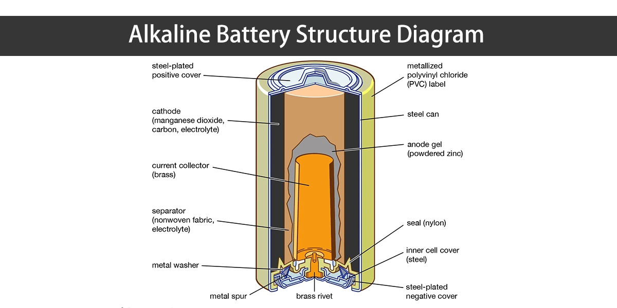 How to Dispose of Alkaline Batteries: A Comprehensive Guide - TYCORUN