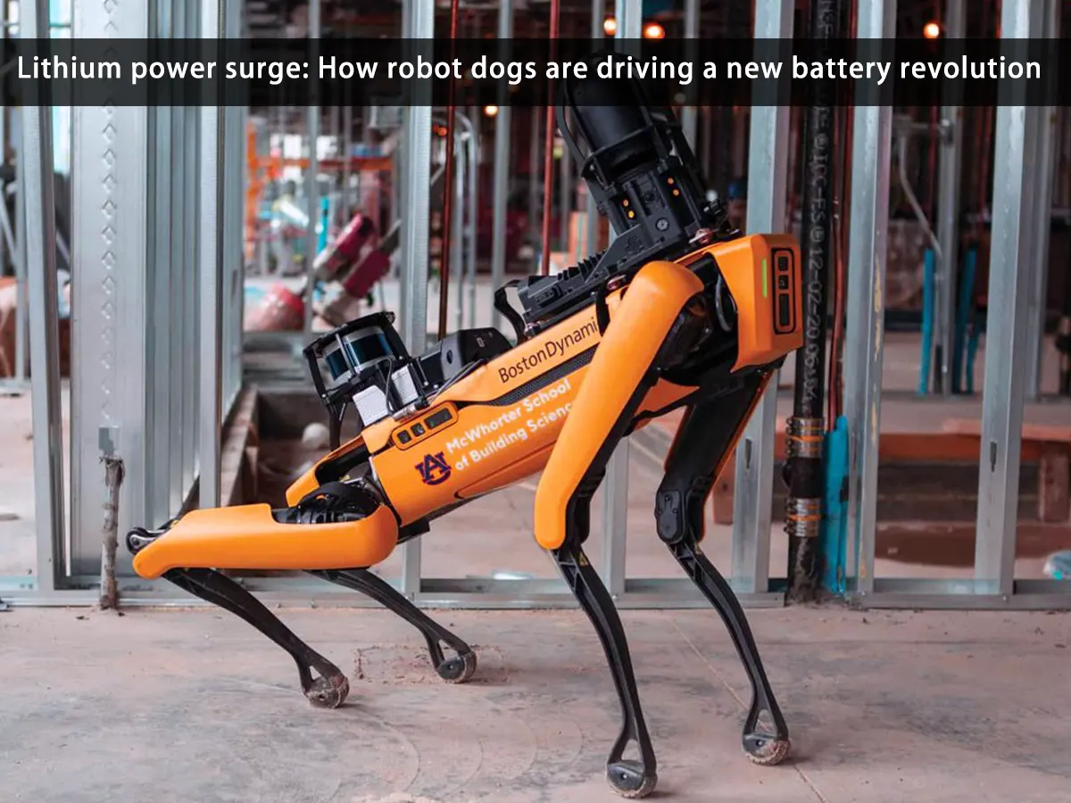 Battery industry - Tycorun Battery Swap