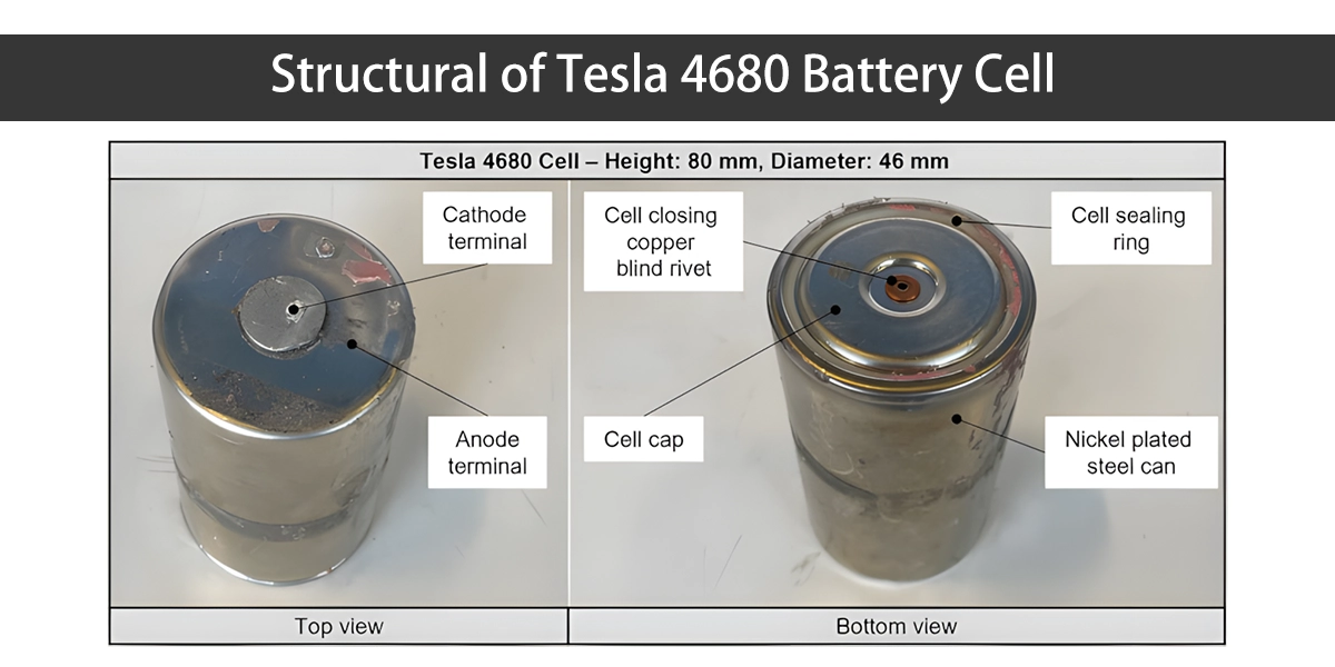 Perbandingan Baterai BYD vs Tesla: Siapa yang Memimpin Revolusi EV ...