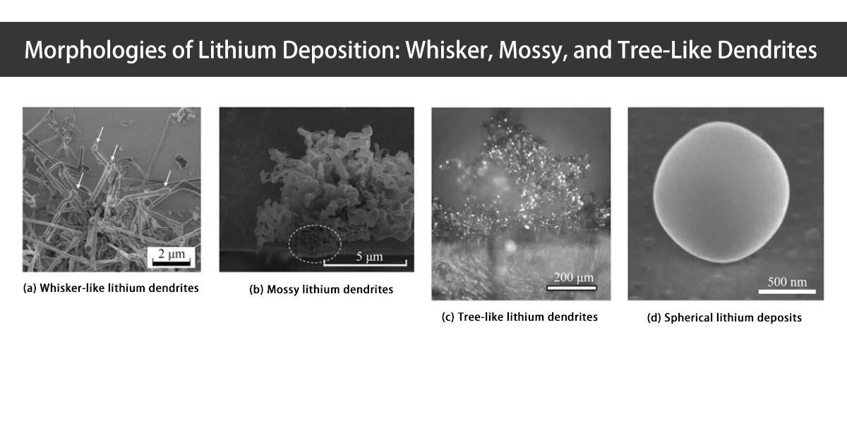 Crecimiento de dendritas en las baterías de litio: Causas, efectos y ...